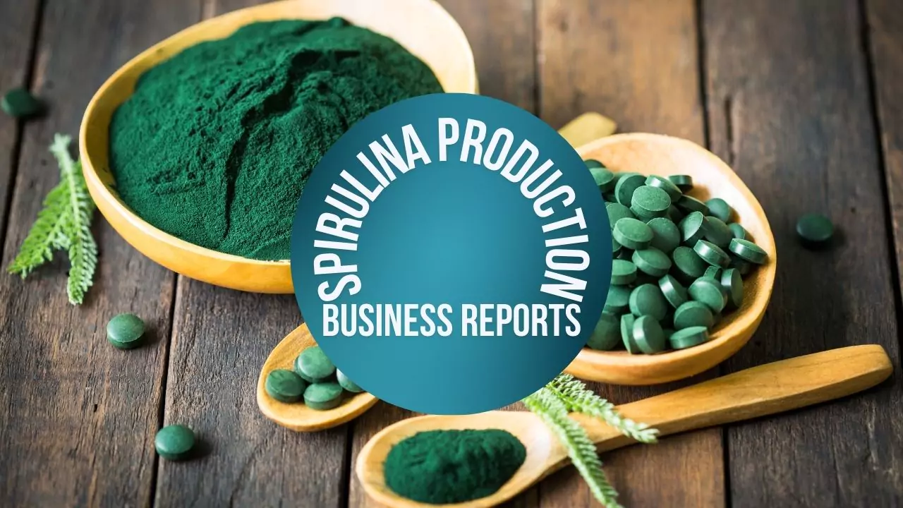 Spirulina DPR / Business Plan – MBP